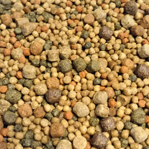 Japanse mix is de meest veelzijdige 12 soorten mix verkrijgbaar