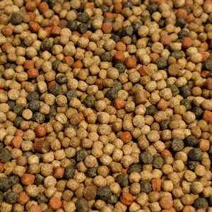 Japanse mix is de meest veelzijdige 12 soorten mix verkrijgbaar